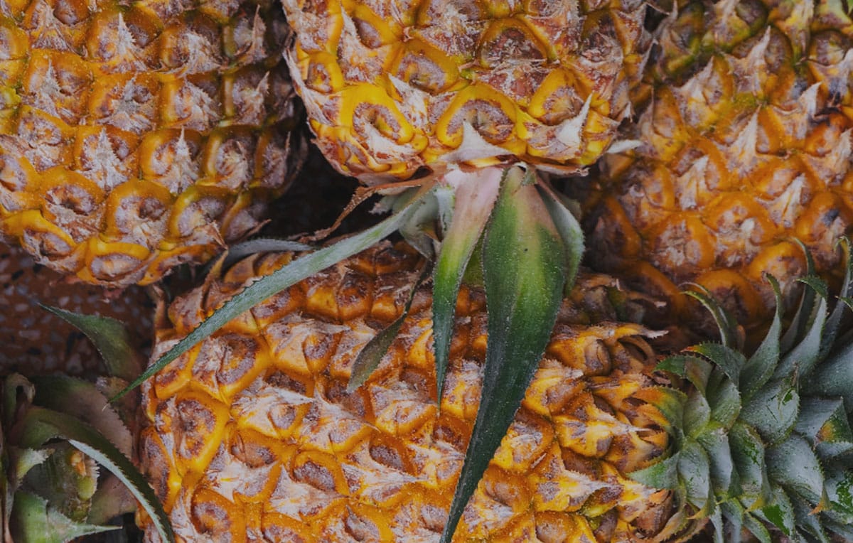 EWG's Shopper's Guide to Pesticides in Produce | Clean Fifteen