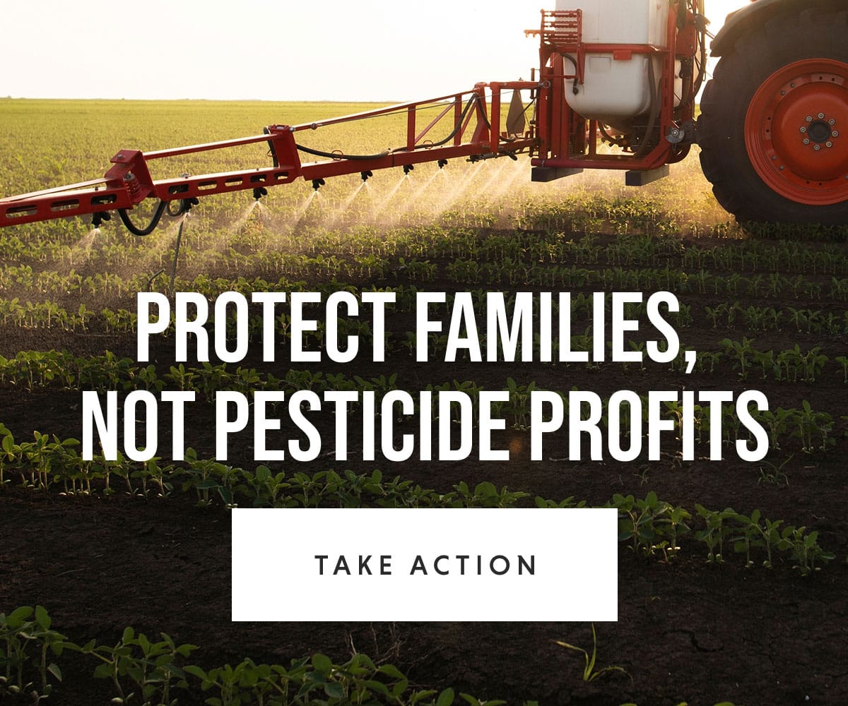 EWG's Shopper's Guide to Pesticides in Produce | Apples