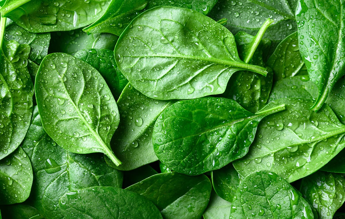 EWG's 2025 Shopper's Guide to Pesticides in Produce | Dirty Dozen