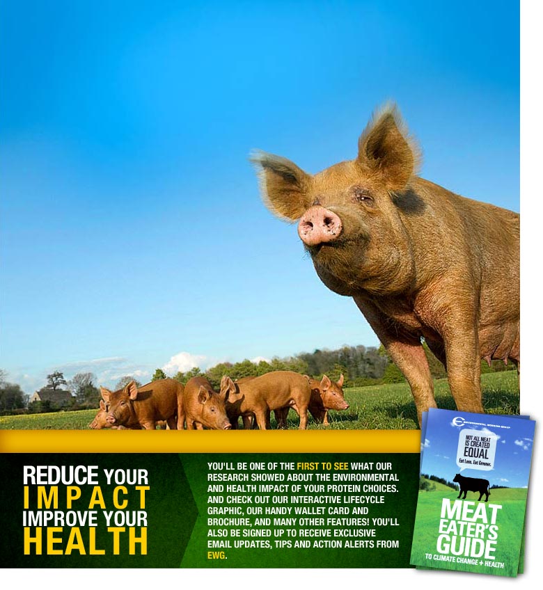 2011 Meat Eaters Guide - Just another Environmental Working Group Sites ...